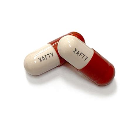 현대바이오 제프티 내년 초 뎅기열 글로벌 임상 돌입 한국금융신문