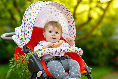 여동생에 게 당근 작은 금발 아이 보 행복 한 형제 데 건강 한 간식입니다 아기 소녀 유모차 또는 유모차에 앉아입니다 건강한 생활방식에 대한 스톡 사진 및 기타 이미지