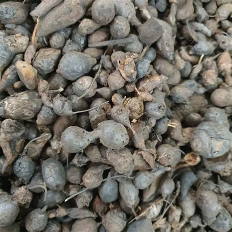 خرید و قیمت سعد کوفی 500 گرم از غرفه عطاری شبنم بهشت باسلام