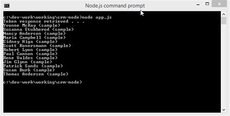 Dynamics 365 And Nodejs Integration Using The Web Api