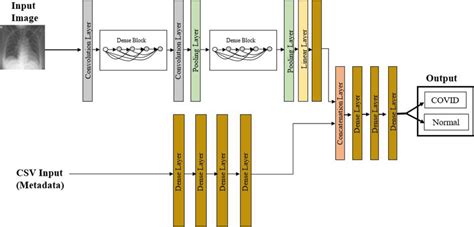Network Diagram For Densenet 121 Model For Binary Classification Using