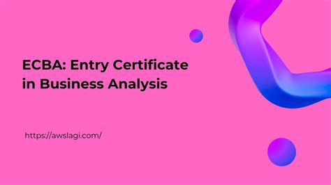 Ecba Entry Certificate In Business Analysis