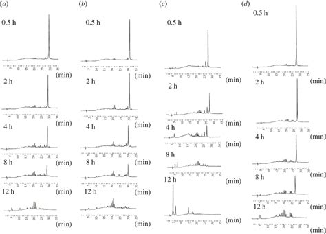 RP HPLC Profiles Of A Sp UPOUPOUPOUPOUPOUPOUPOUPOUPBUPBUPBU B Download Scientific