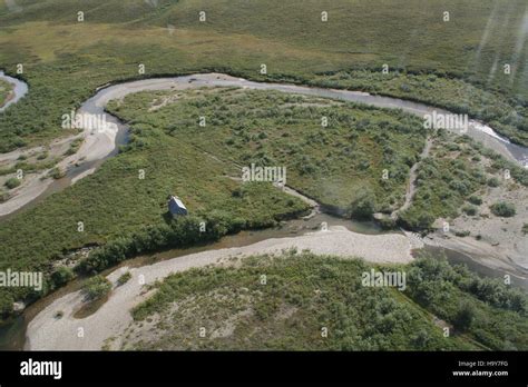 The Cottonwood Shelter Cabin On The Bering Land Bridge National