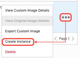 Create Instance In OCI Okta Access Gateway