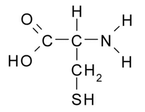 Solved This Is Amino Acid Cysteine First Identify The