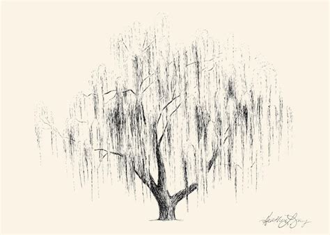 Tree Art Drawing
