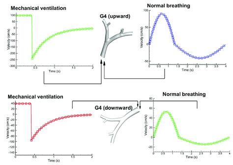 Comparison Of Bifurcation Waveforms The Waveforms Used For Mv And The