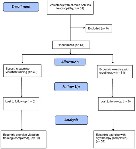 Consort Flow Algorithm Outlining The Participant Enrollment