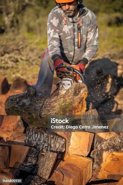 겨울 동안 전기 톱으로 나무를 자르는 남자의 이미지 수직 이미지 스팟 포커스 건설 기계류에 대한 스톡 사진 및 기타 이미지 건설 기계류 공사장 인부 기계 부분