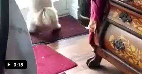 Are You Stuck Step Sister 9gag Are You Stuck Step Sister 9gag