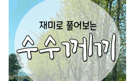 재미로 풀어보는 수수께끼 문제 웃긴 넌센스퀴즈 모음 네이버 블로그