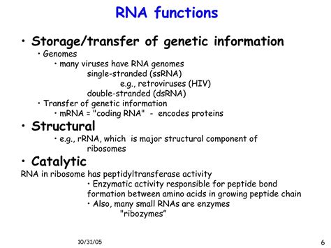 Rna Structure And Functions Pptx