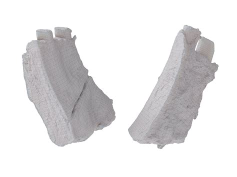 Grilled Ribs 3d Model Cgtrader