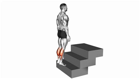 Standing Calf Raise On A Staircase Exercise Guide How To Muscles