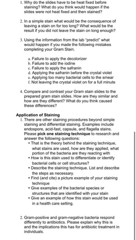 Solved Why Do We Stain Bacterial Cells 2 Explain The Difference