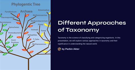 Different Approaches Of Taxonomy