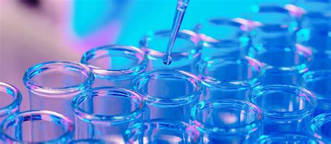 شرکت صنایع سینا پلیمر پارس سینا گرانول Sina Polymer Pars