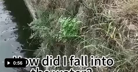 Deep Sleeping 9gag