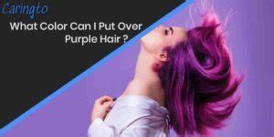What Color Can I Put Over Purple Hair Expert Guide Videri Hair And
