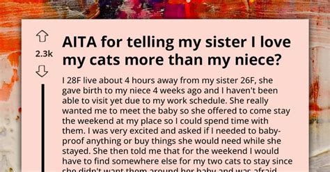 Cat Loving Aunt Chooses Feline Friends Over Nieces Visit Admits To
