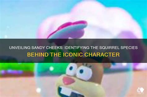 Unveiling Sandy Cheeks Identifying The Squirrel Species Behind The