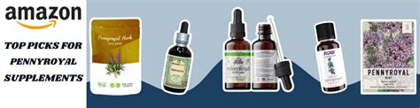 Pennyroyal Potential Nootropic Benefits Dosage Side Effects