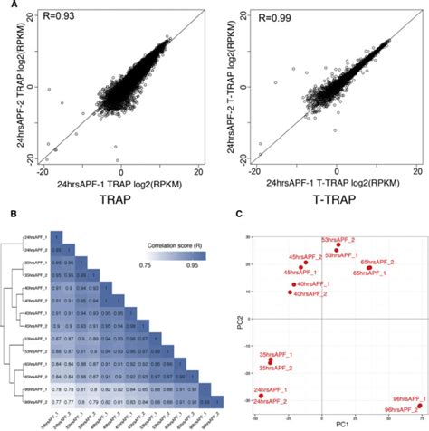 Correlation Of Rna Seq Data From Different Libraries Download