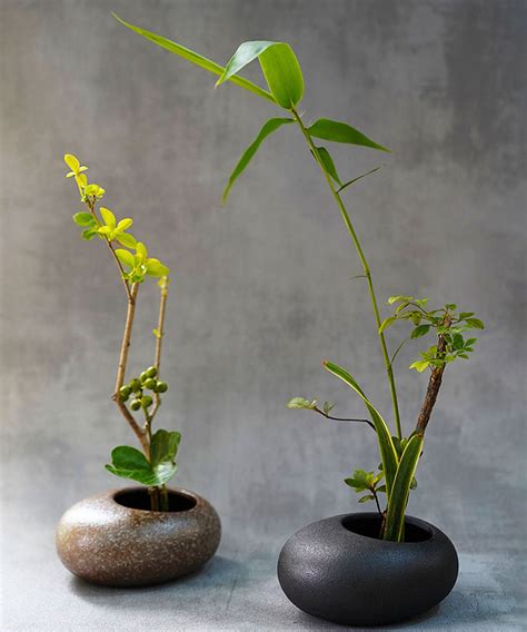 Ikebana Vase Theteacloud