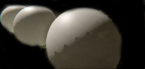 Contact Shadows Produce Self Shadowing Artifacts Unity Engine Unity Discussions