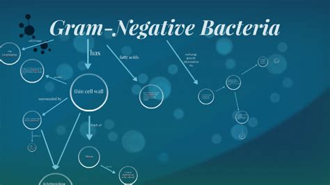 Gram Negative Bacteria Concept Map By Shanice Unnithan On Prezi
