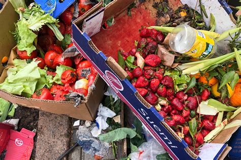 Cuáles Son Los Impactos De Las Pérdidas Y Desperdicio De Alimentos