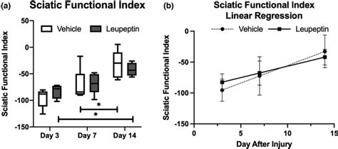A Sciatic Functional Index As A Function Of Time For Both