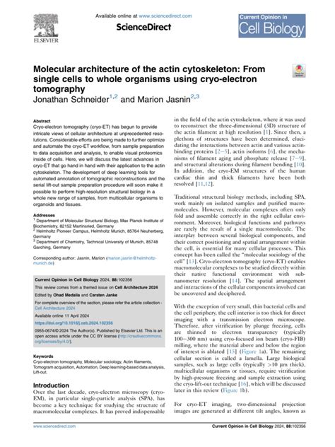 Molecular Architecture Of The Actin Cytoskeleton From Pdf Actin