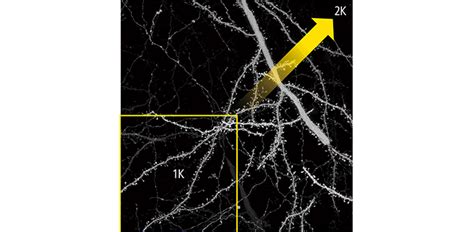 Nikon Introduces Newly Developed Imaging Technology For Greatly