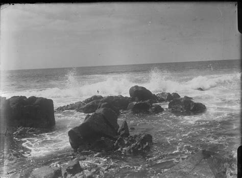 Echolocation Using Sound To Detect Surroundings Particle