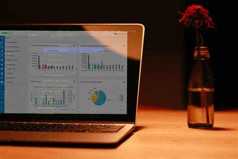 Sage Evolution Holman Consulting