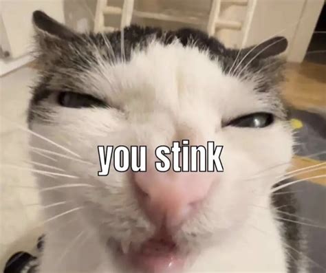 Pending Runs Hypercam2