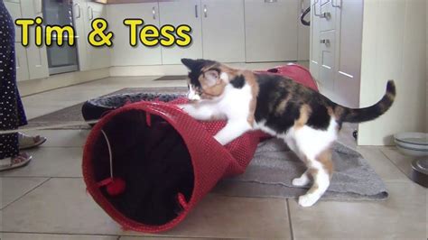 Tim And Tess Youtube