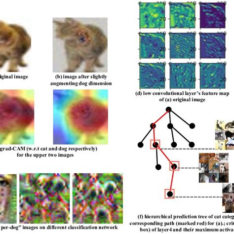 Pdf What Do Cnn Neurons Learn Visualization And Clustering