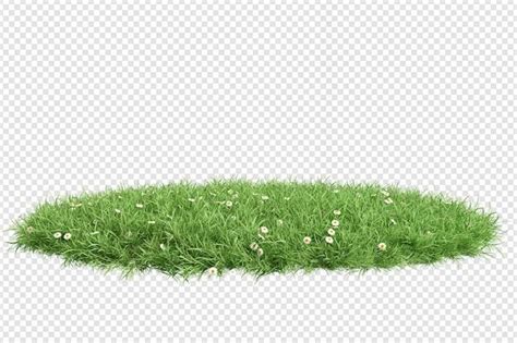 Various Types Of Grass Rendering
