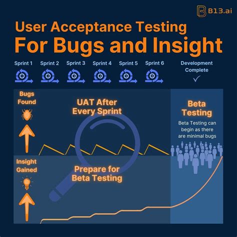 User Acceptance Testing For Bugs And Insights B13