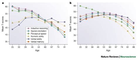 Cognitive Abilities By Age Numeric Verbal Memory Speed Reasoning Tag Vault