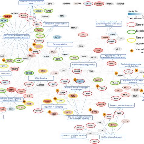 Interaction Network Among 143 High Confidence Genes Download