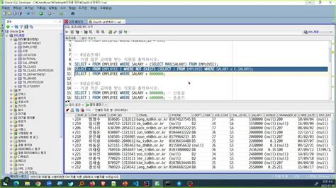 Sql 상관쿼리 복습 실습예제 1~4 Youtube