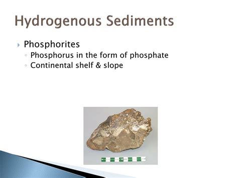 Ppt Ocean Sediments Powerpoint Presentation Free Download Id4527670