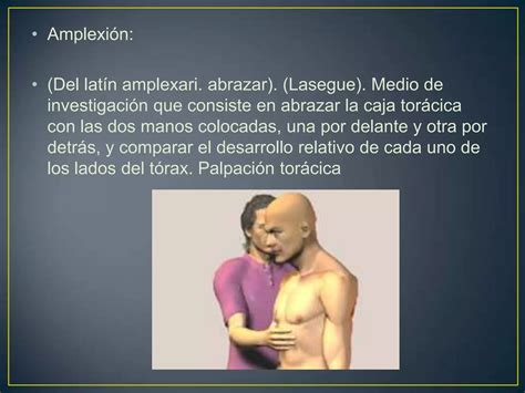 Palpacion Del Torax Exploracion Fisica Pptx