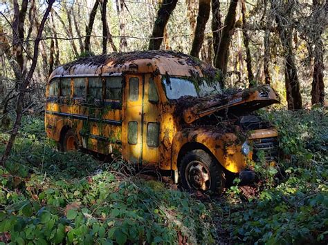 Dad Brings Abandoned 74 Year Old School Bus Found In The Woods ‘back To