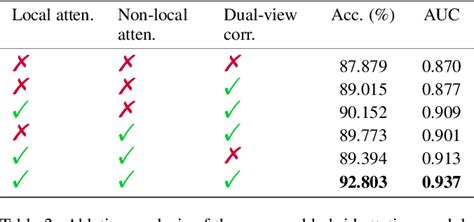 Dual View Correlation Hybrid Attention Network For Robust Holistic