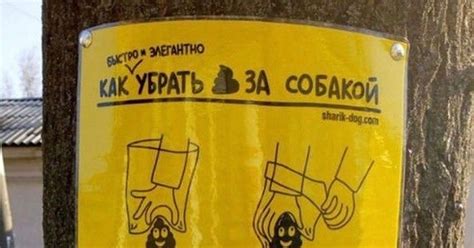 Как убрать ... за собакой | Пикабу